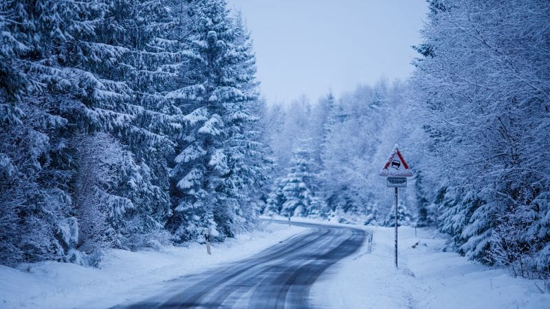 Maîtriser la conduite sous la neige : conseils essentiels - Mieux assuré